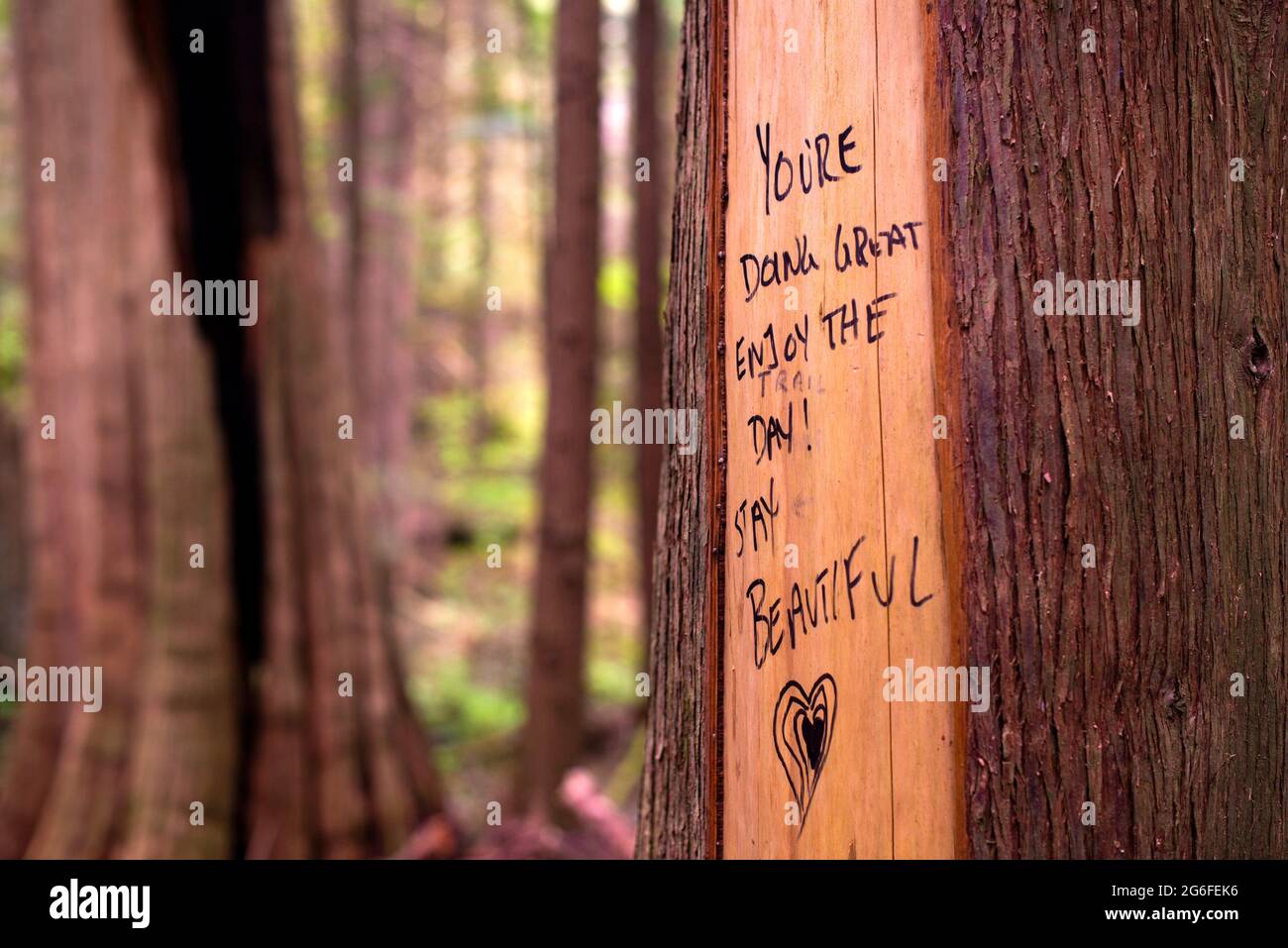 Tree Writing High Resolution Stock Photography and Images - Alamy
