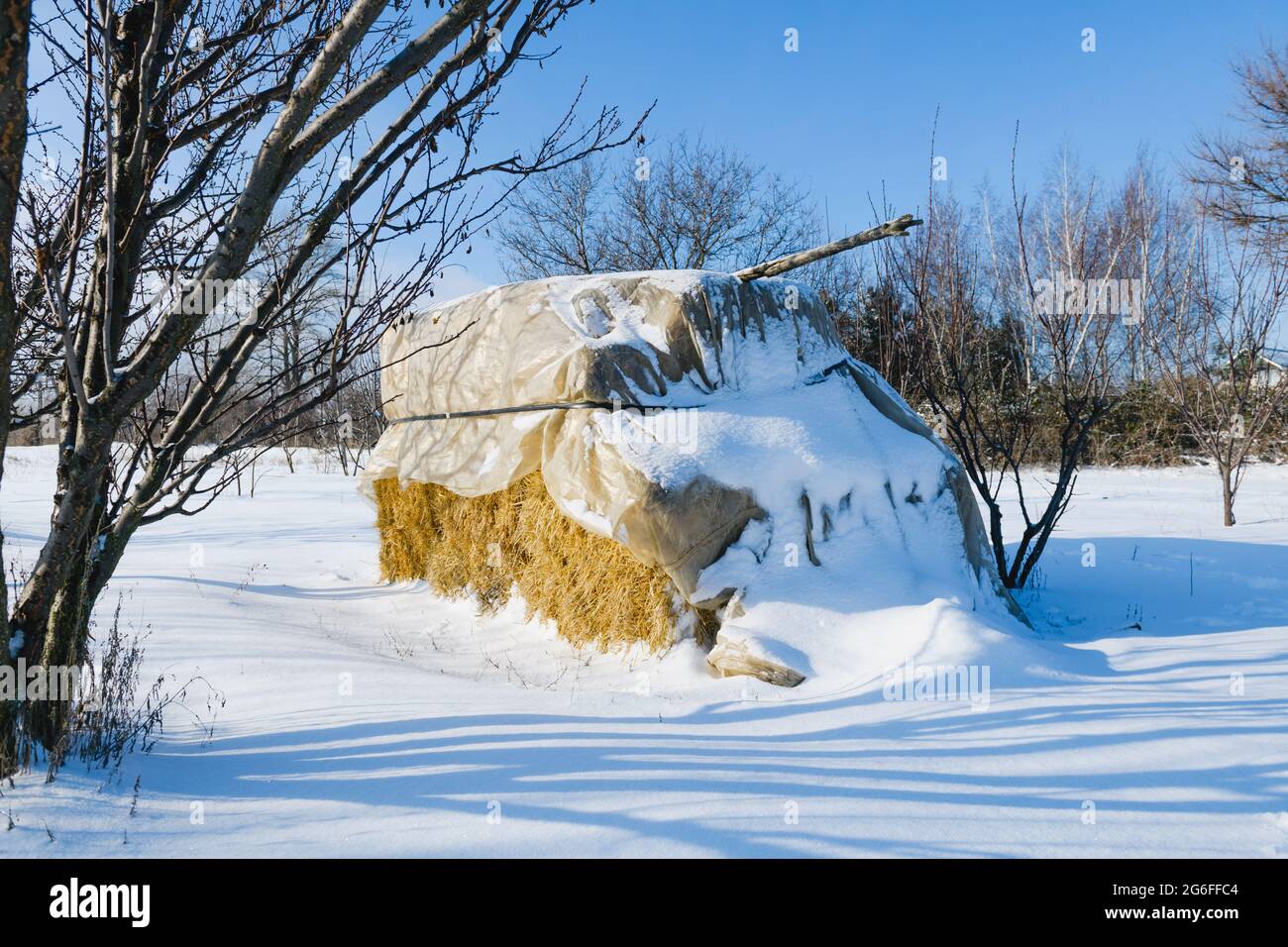 Rural winter background with big square stack of dry yellow hay covered ...