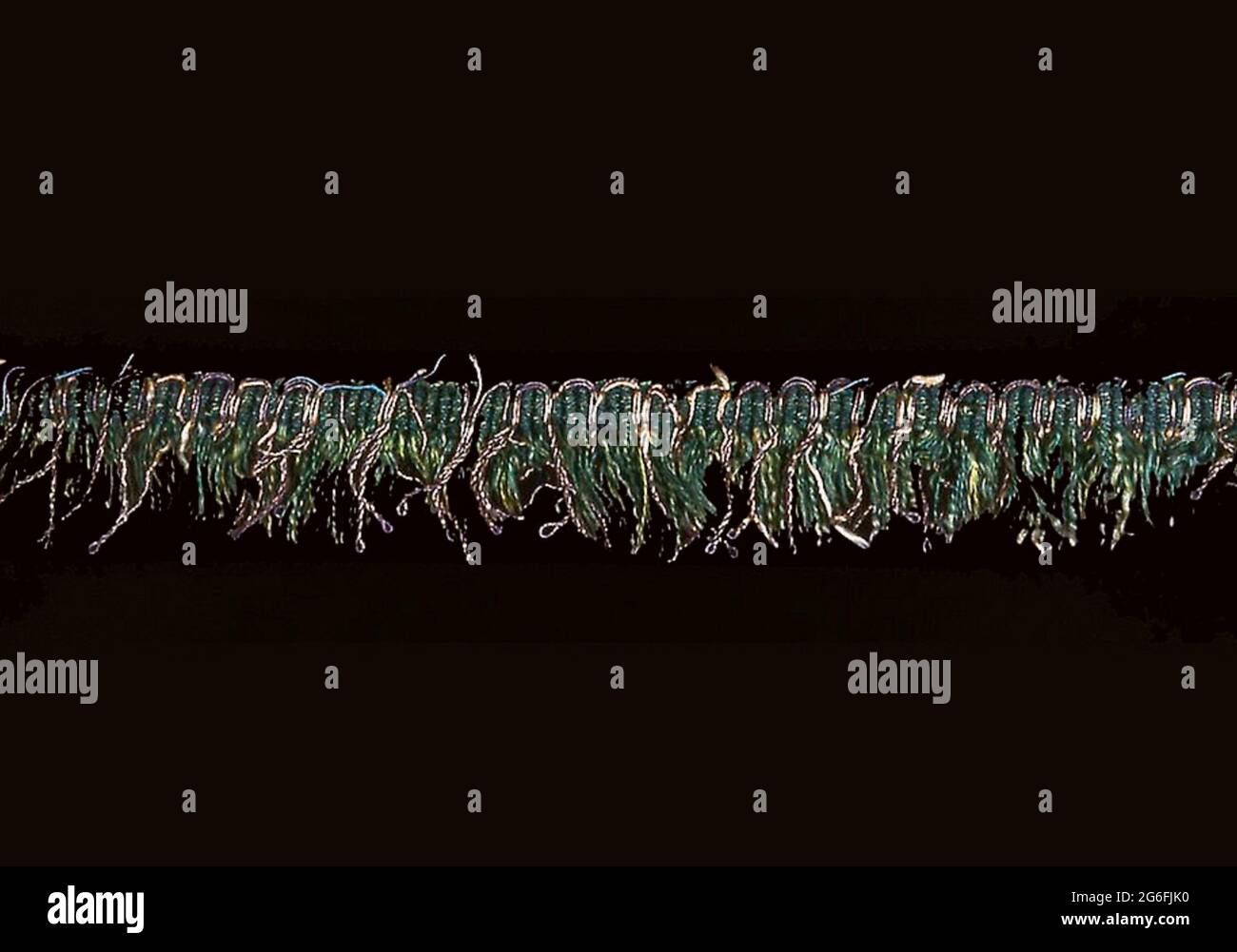 The renaissance loop hi-res stock photography and images - Alamy