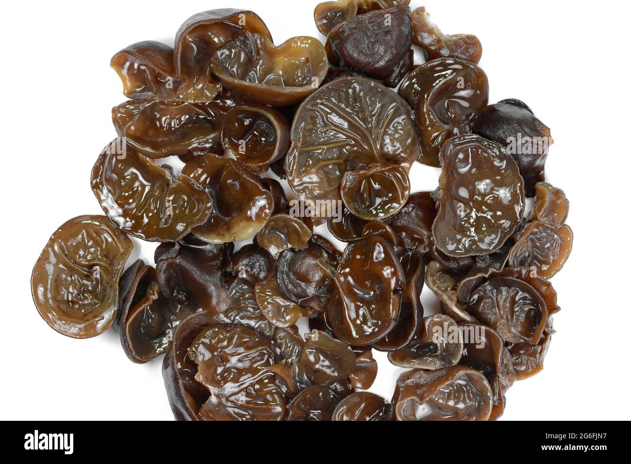 Jews ear (wood ear, Auricularia auricula, Hirneola polytricha, jelly ...