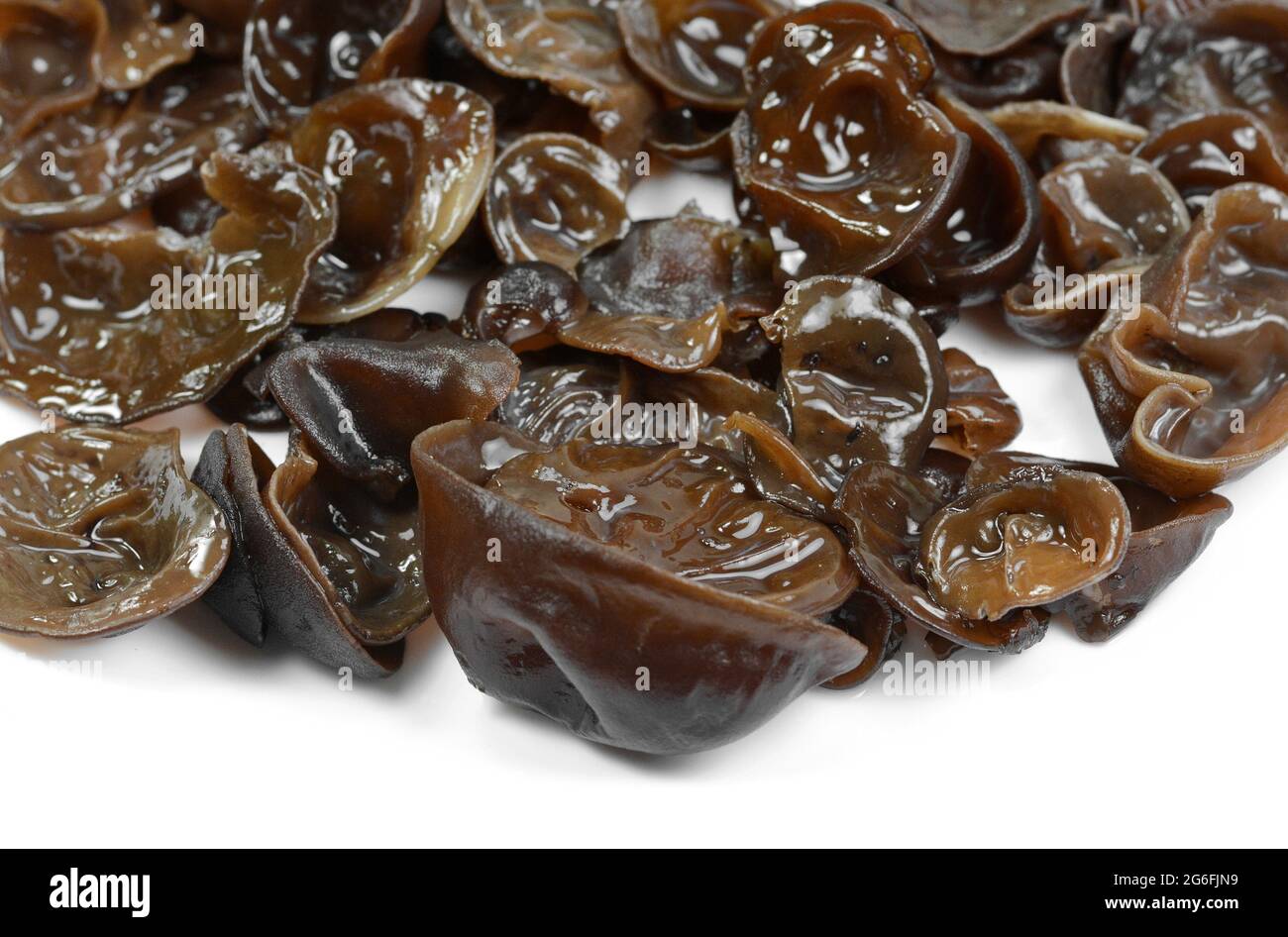 Jews ear (wood ear, Auricularia auricula, Hirneola polytricha, jelly ...