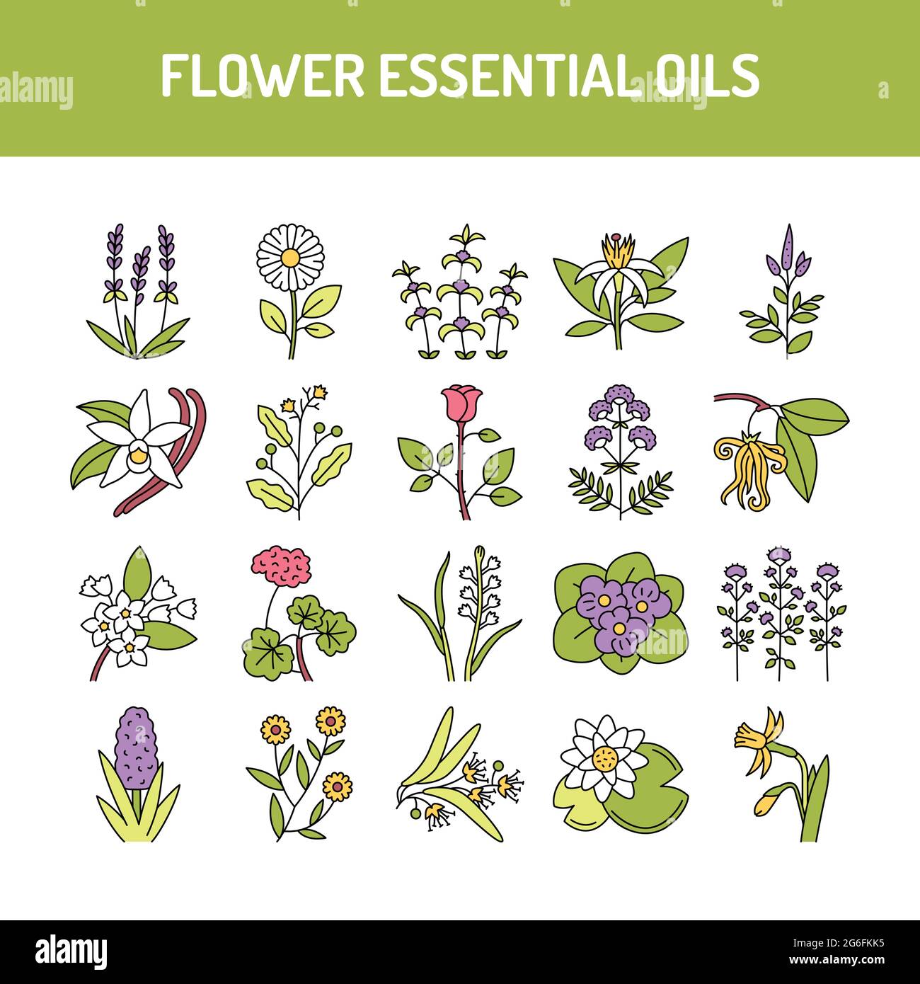 Flower essential oils olor line icons set. Pictogram for web page ...