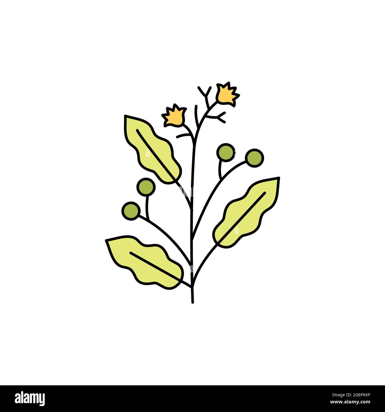 Camphor olor line icon. Essential oils. Pictogram for web page, mobile ...