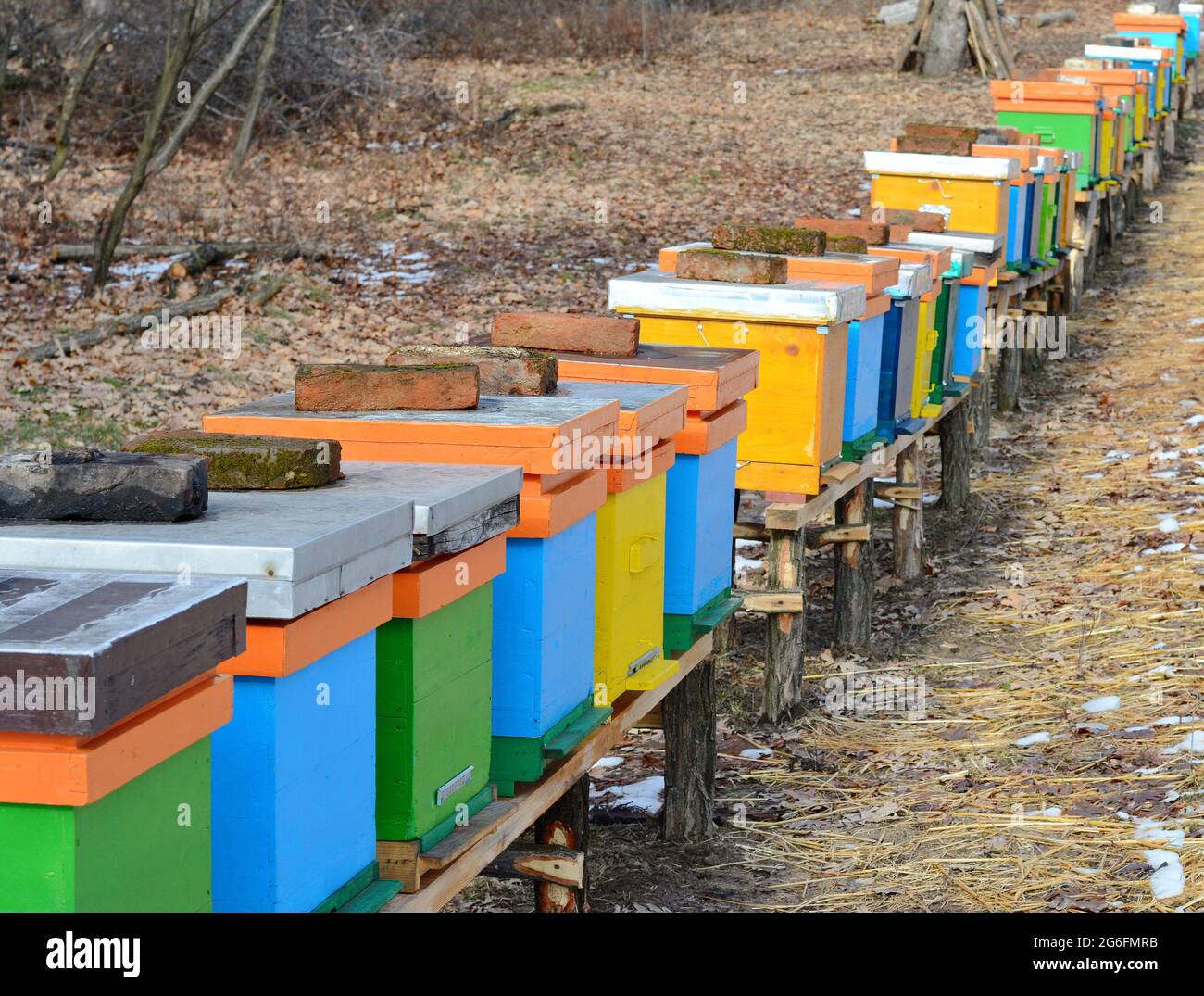 Snow covered bee hives hi-res stock photography and images - Alamy