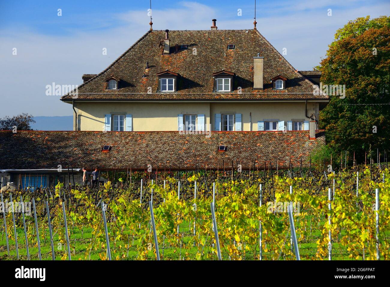 Wine growing region canton of vaud hi-res stock photography and images ...