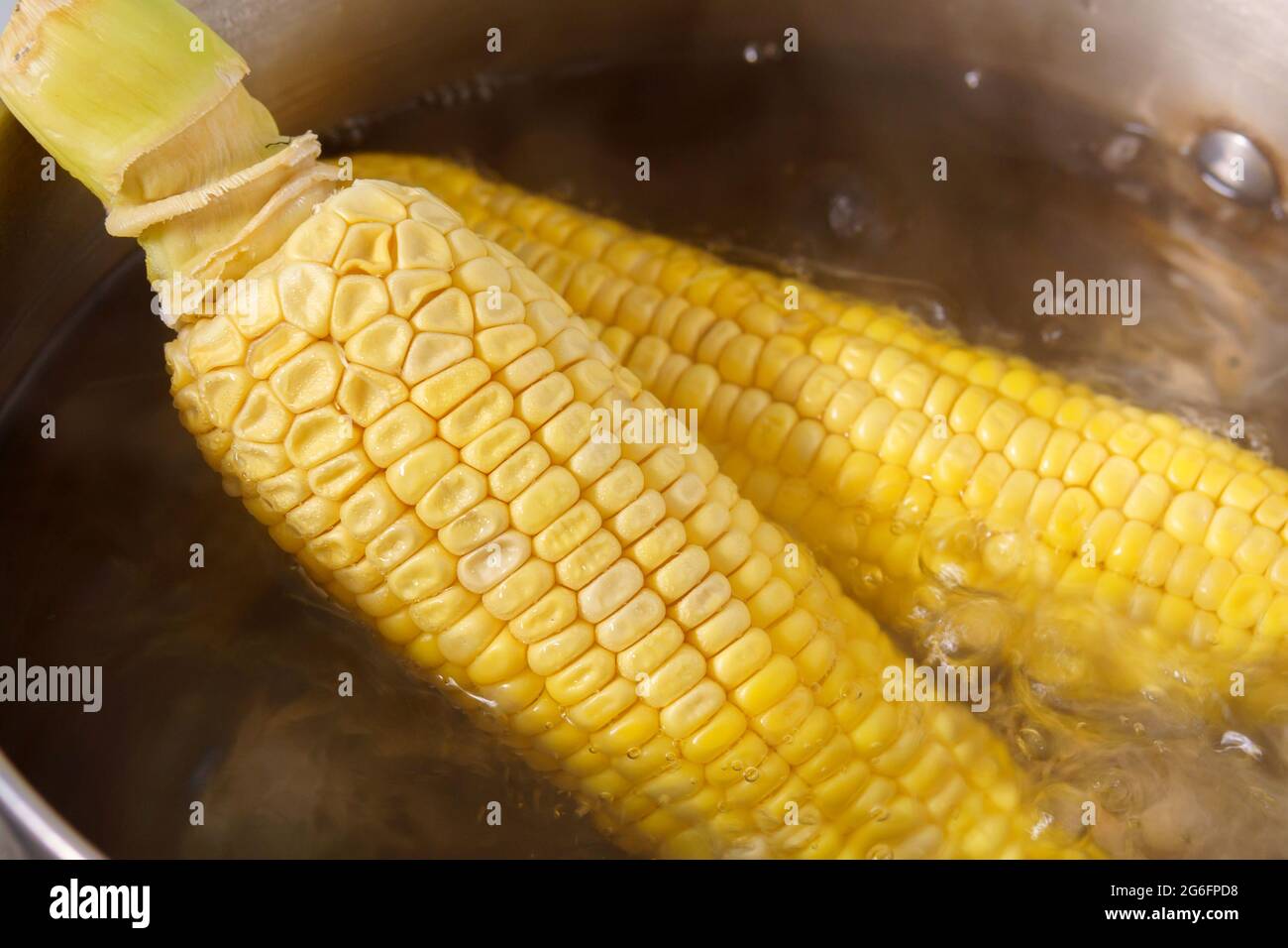 Cooking boiled corn in boiling water close-up Stock Photo - Alamy