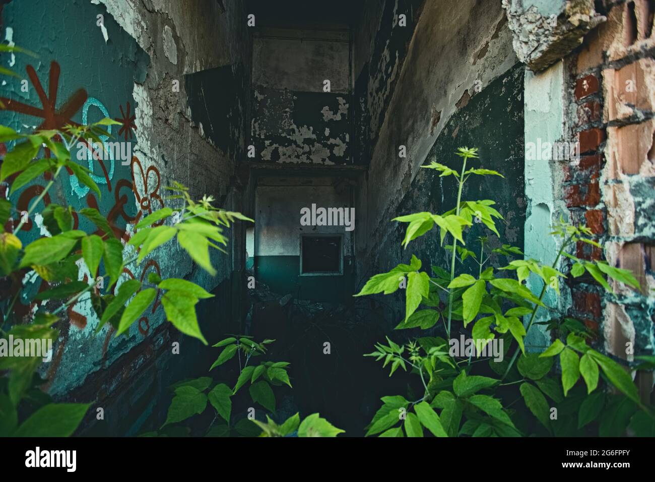 Old ruined factory building from the inside, awesome background Stock ...