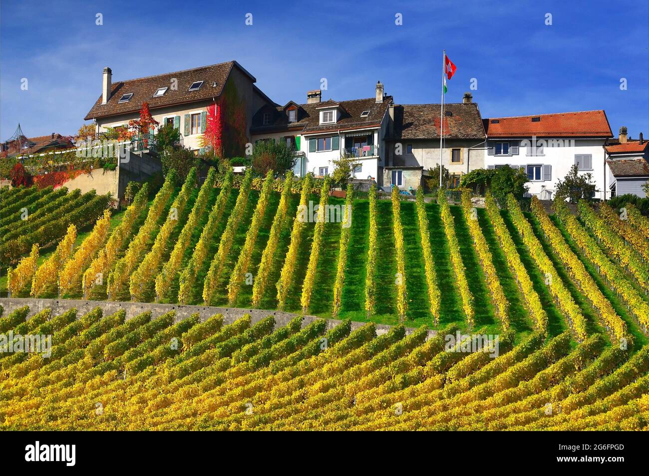 Swiss wine production hi-res stock photography and images - Alamy