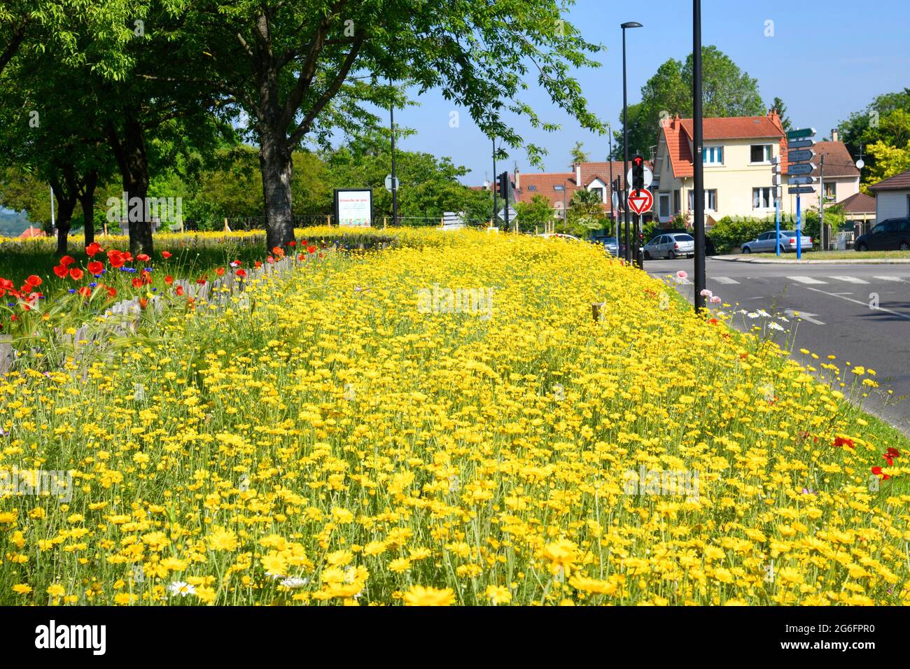 French spring flowers hi-res stock photography and images - Alamy