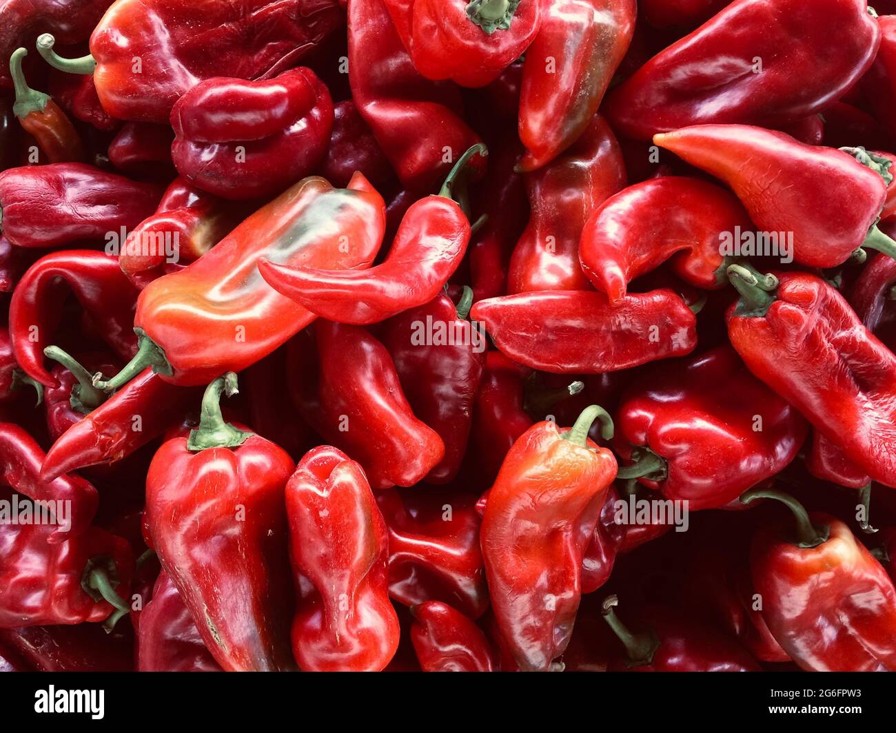 Capia peppers look very fresh and great Stock Photo - Alamy