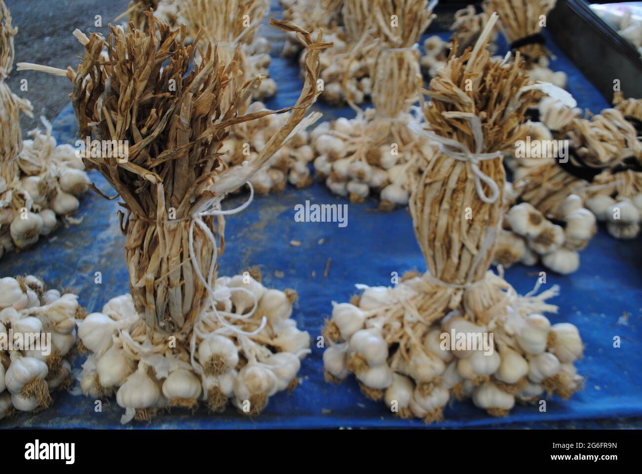 Garlic. Garlic sold at the grocery store Stock Photo - Alamy