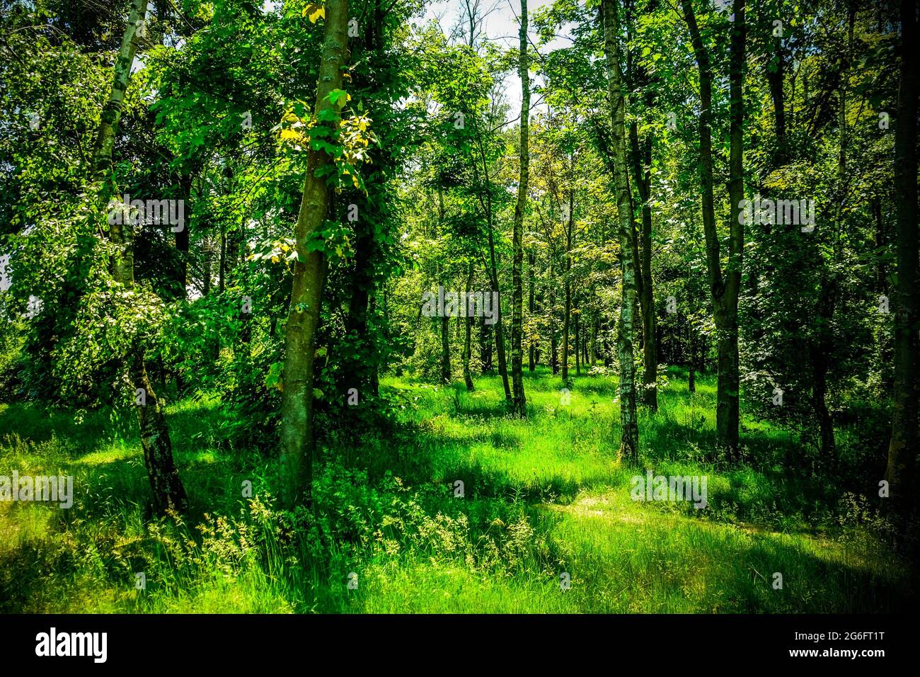 Meerhoven hi-res stock photography and images - Alamy