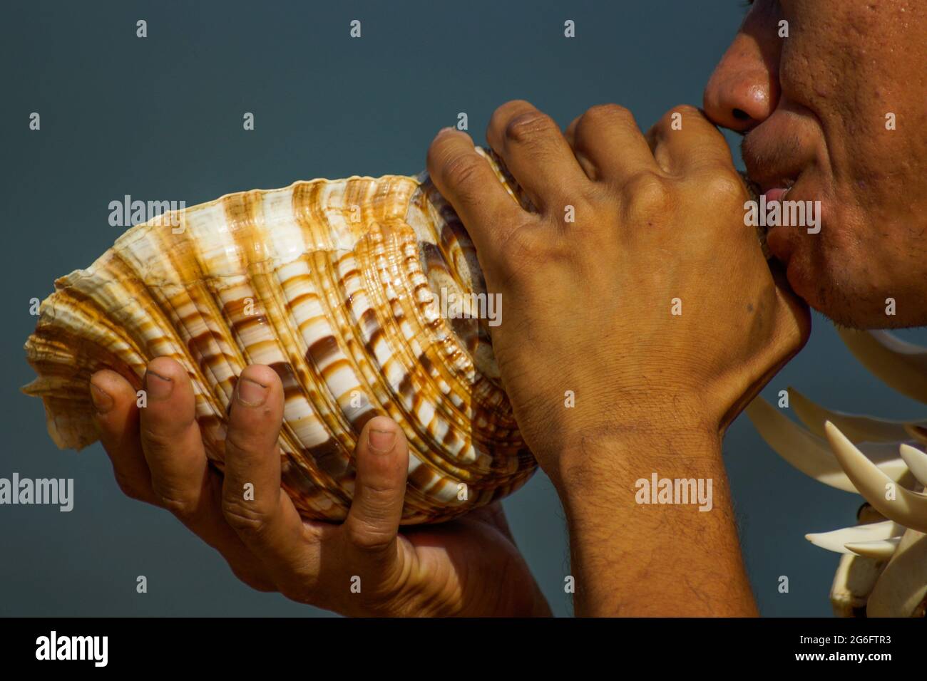 Marquesan man blowing conch shell as he greets cruise passengers ...