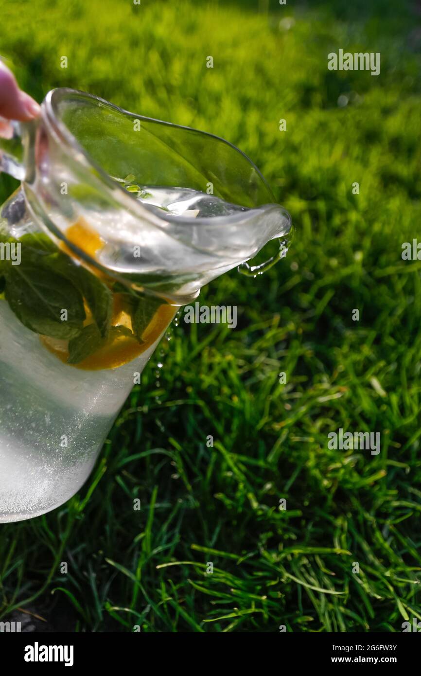 Defocus pouring glass jug of lemonade with lemon and mint in on natural ...