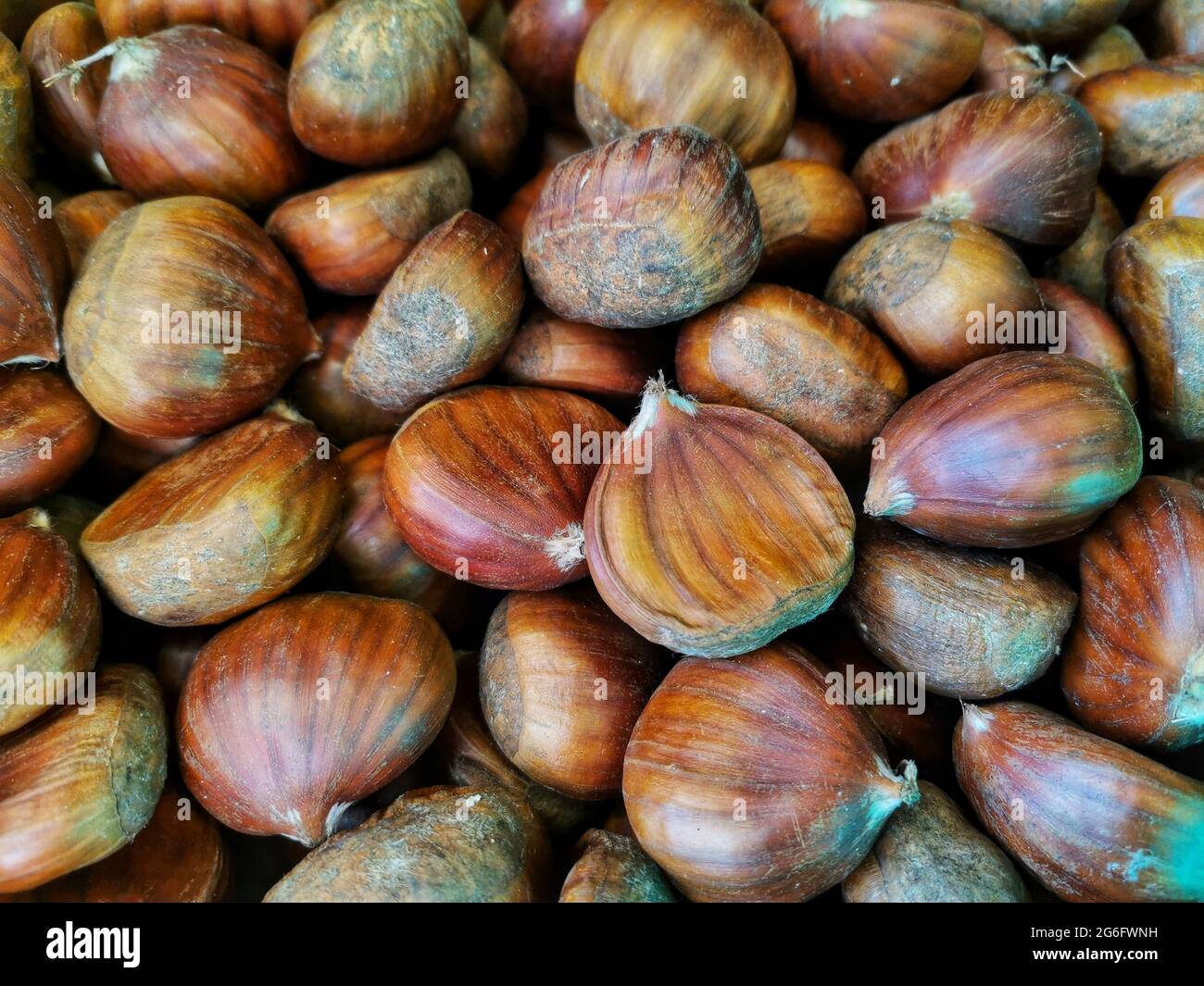 Fruit vector illustration hi-res stock photography and images - Alamy