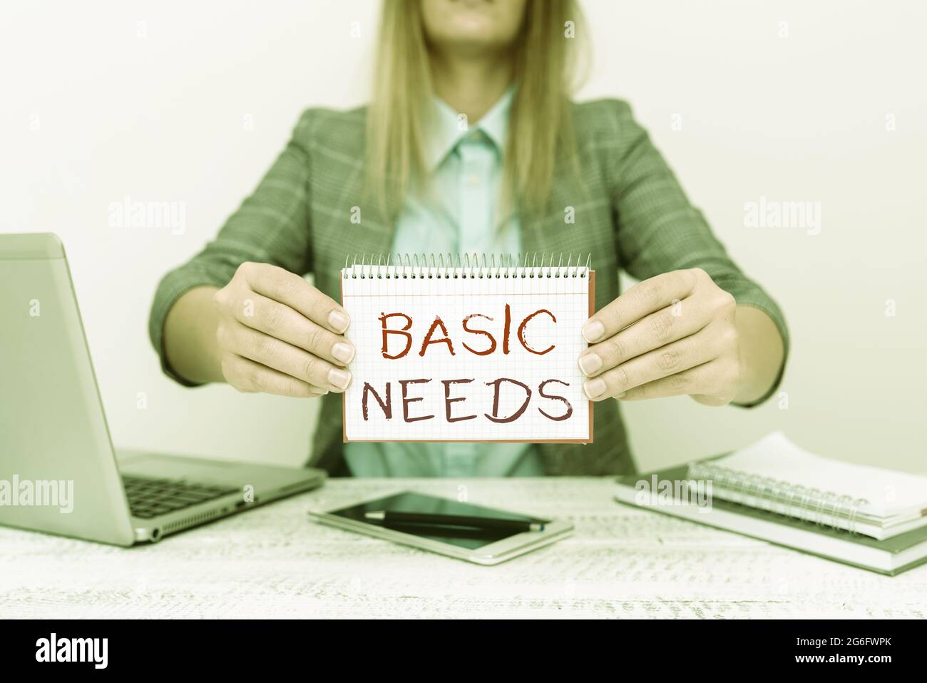 Text caption presenting Basic Needs. Concept meaning necessary to ...