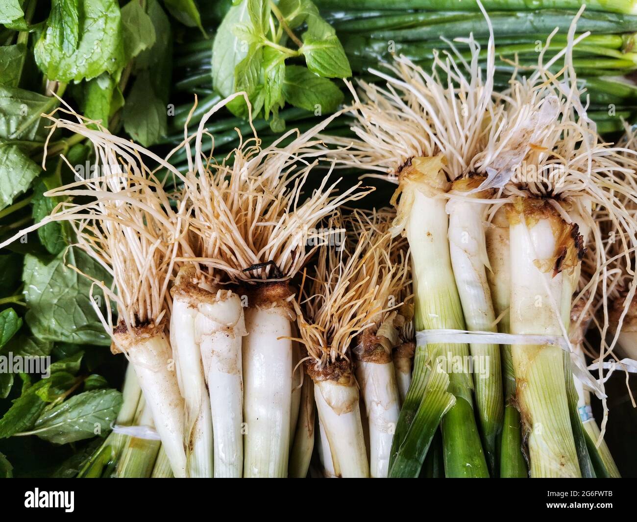 Scallion. Fresh onion. Vegetables in the grocery store Stock Photo - Alamy