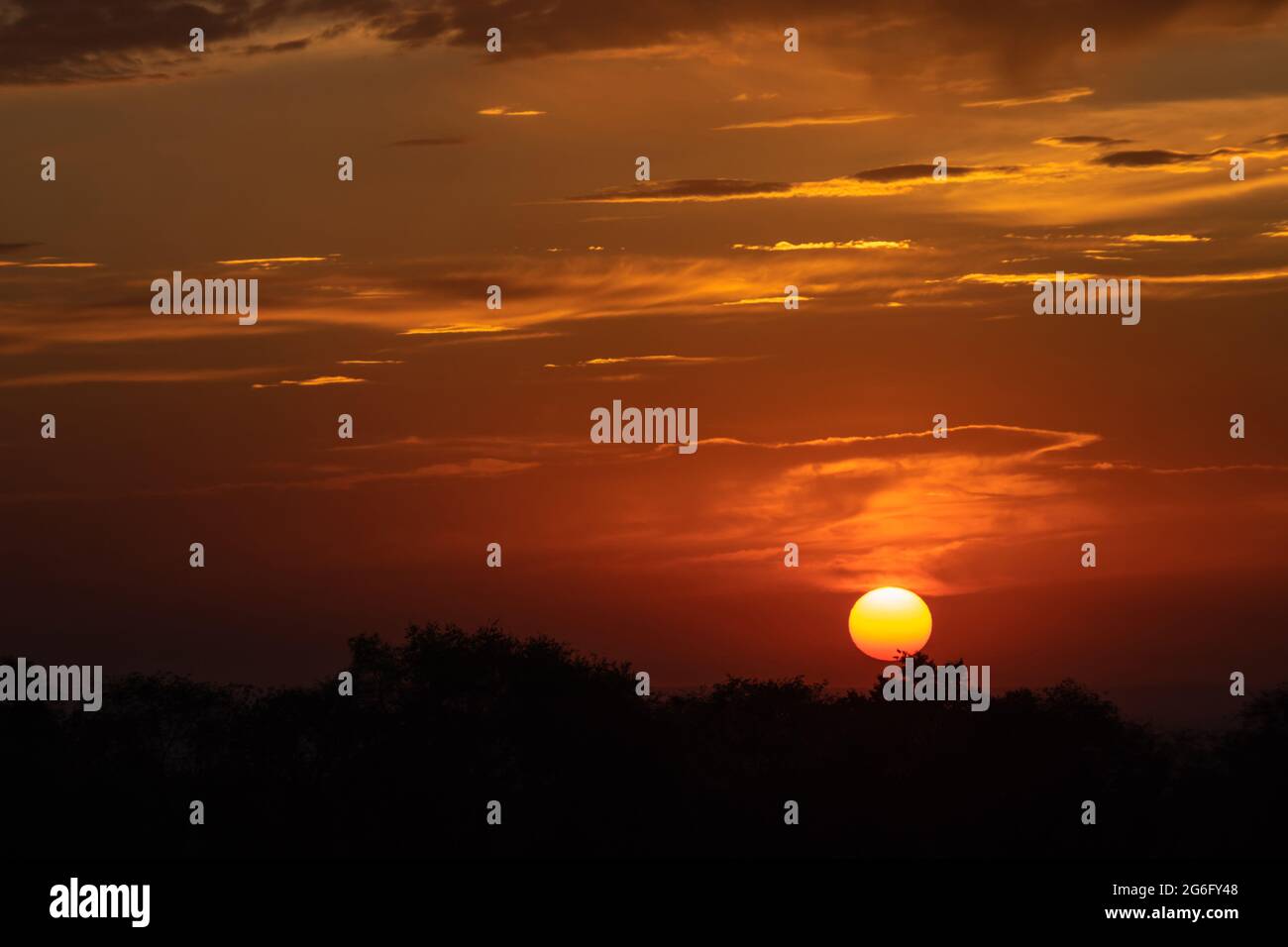 The sun illuminates the clouds on the horizon. In the foreground ...