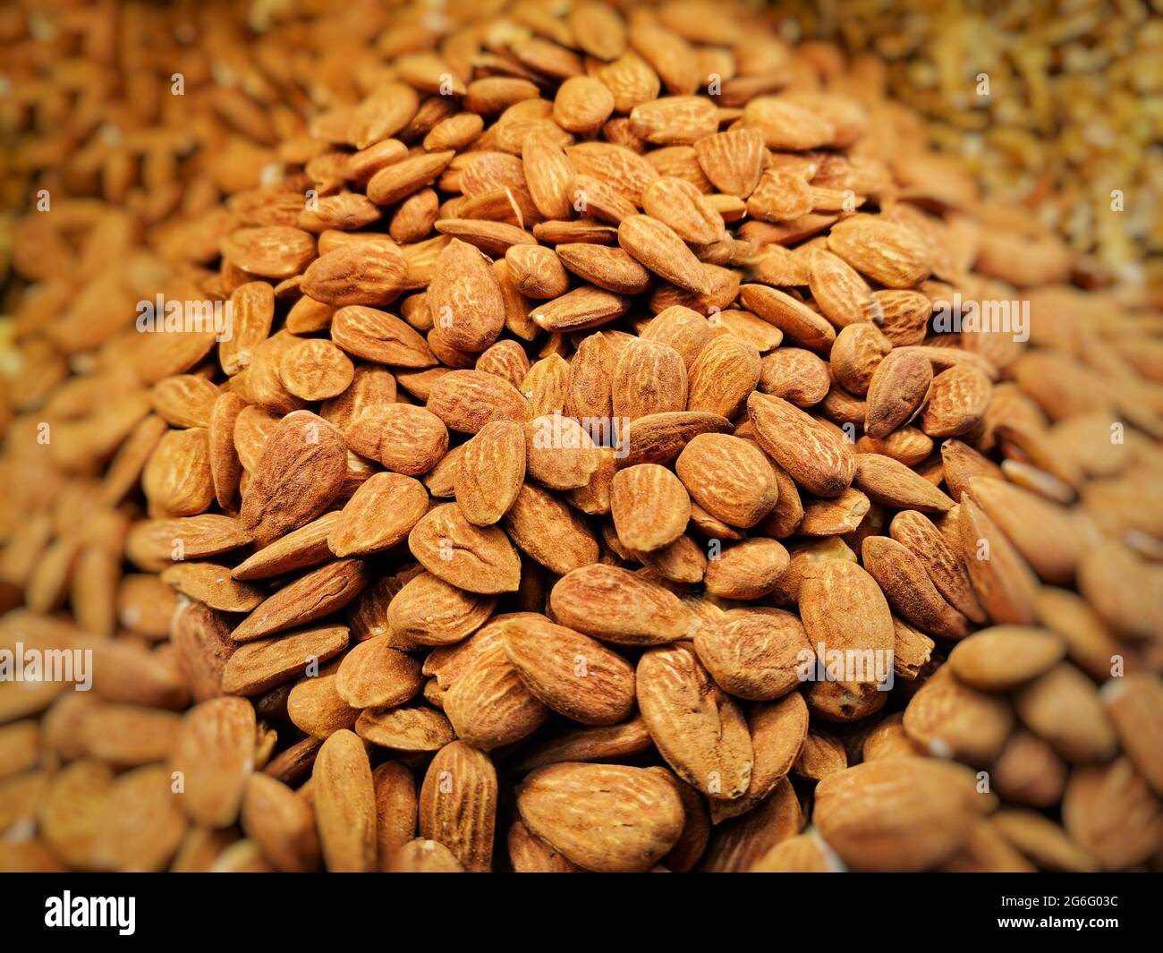 Set isolated plant almond hi-res stock photography and images - Alamy