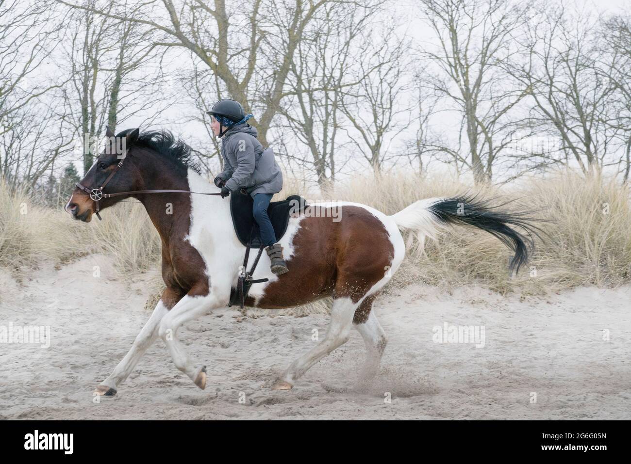 Girl riding galloping horse in sand Stock Photo - Alamy