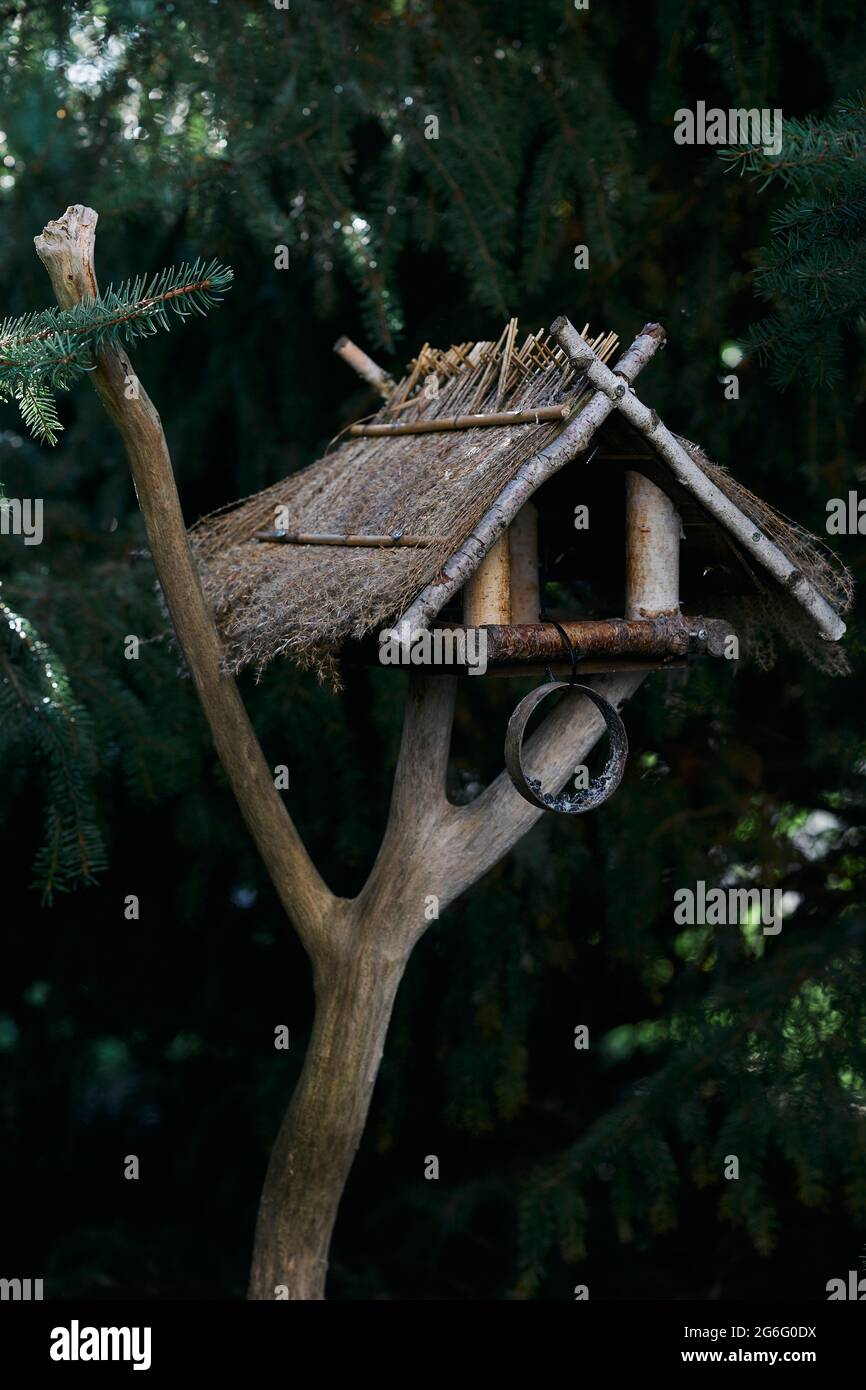 Rustic birdhouse in tree branch Stock Photo - Alamy