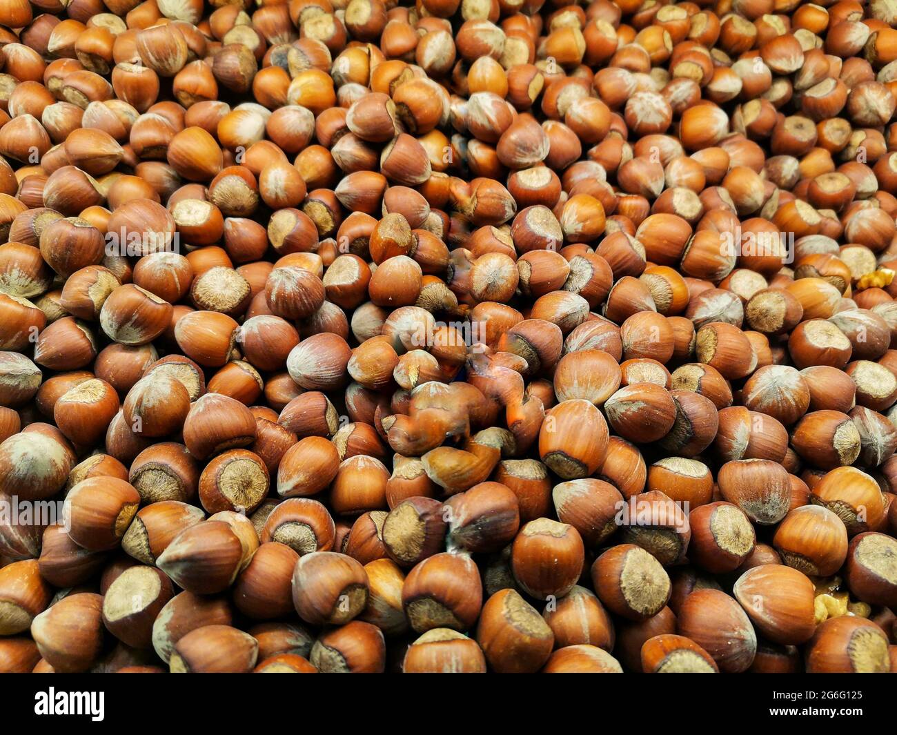 Close up closeup nutshell hi-res stock photography and images - Alamy