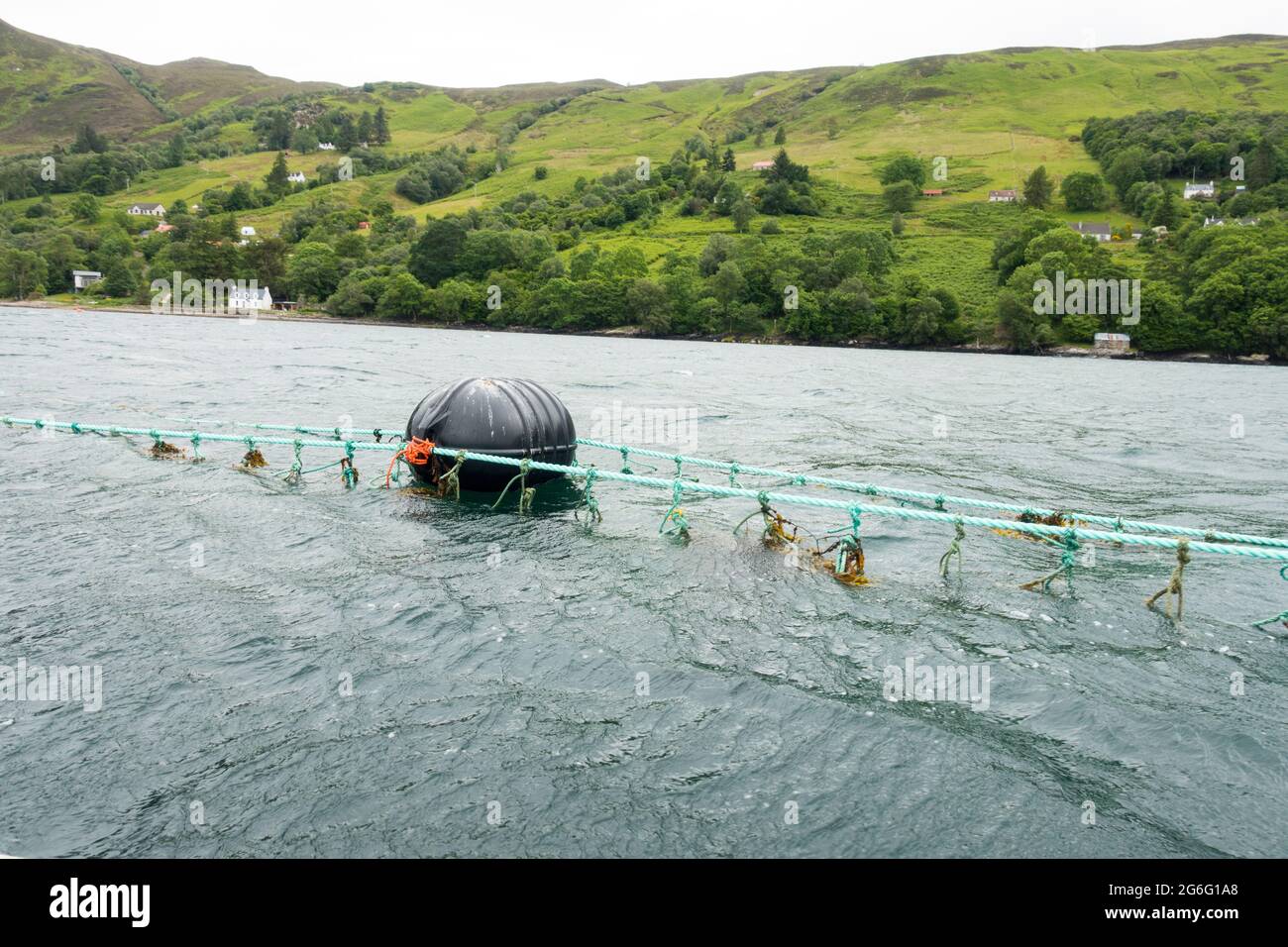 Mussel farm hi-res stock photography and images - Alamy