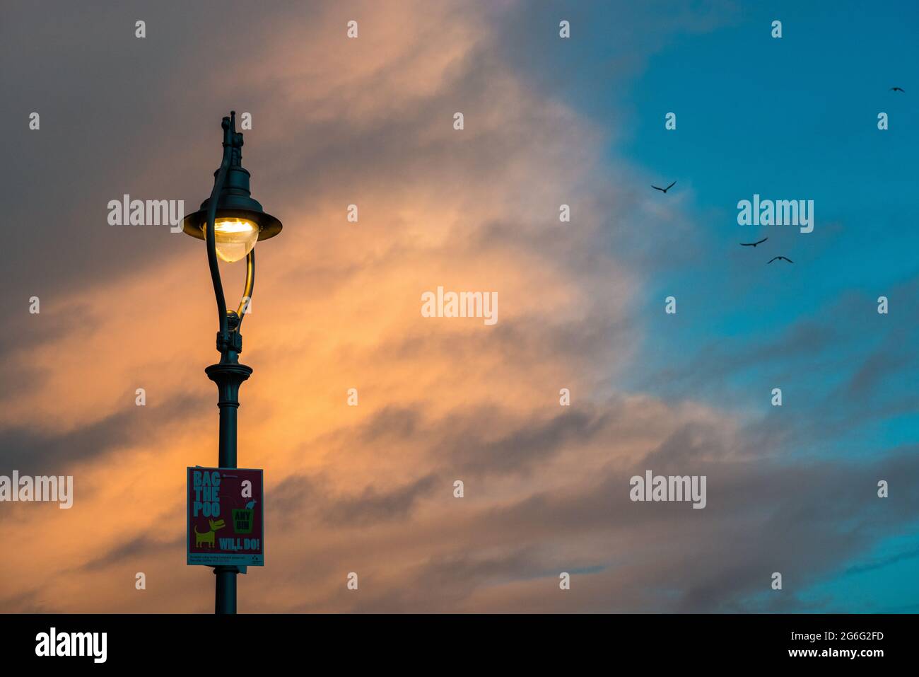 Street light at dusk Stock Photo - Alamy