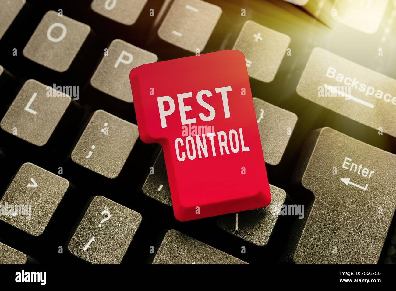 Writing displaying text Pest Control. Word Written on Killing ... Writing displaying text Pest Control. Word Written on Killing ...
