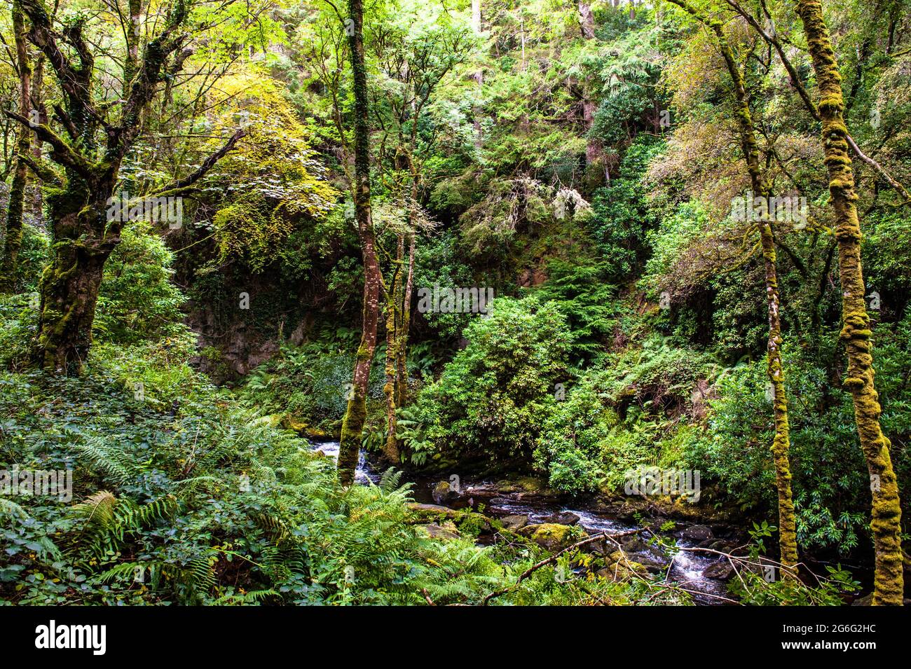 Torc Waterfall, Kerry National Park, Ireland Stock Photo - Alamy