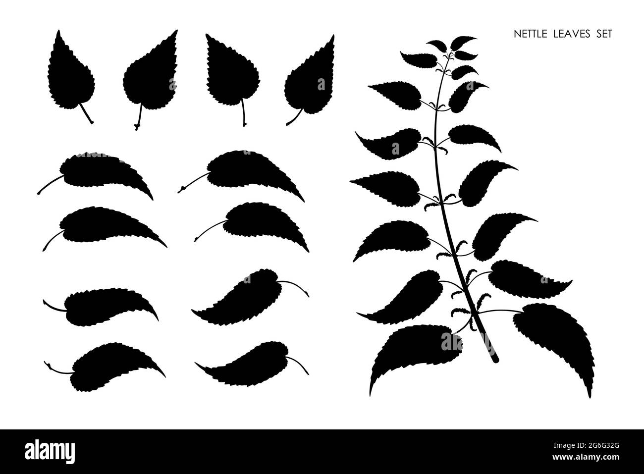 Nettle field Stock Vector Images - Alamy