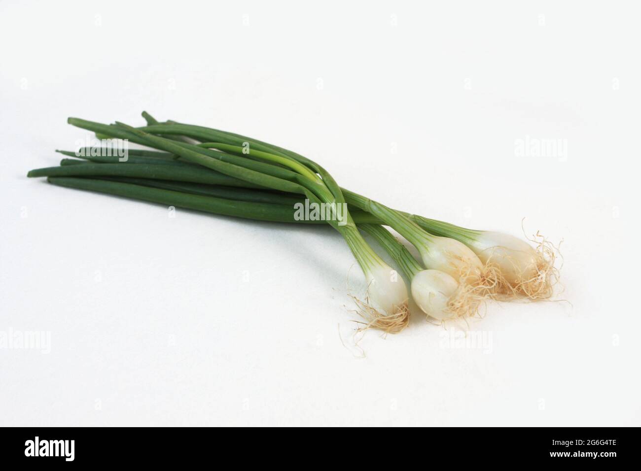welsh onion (Allium fistulosum), spring onions as food Stock Photo - Alamy