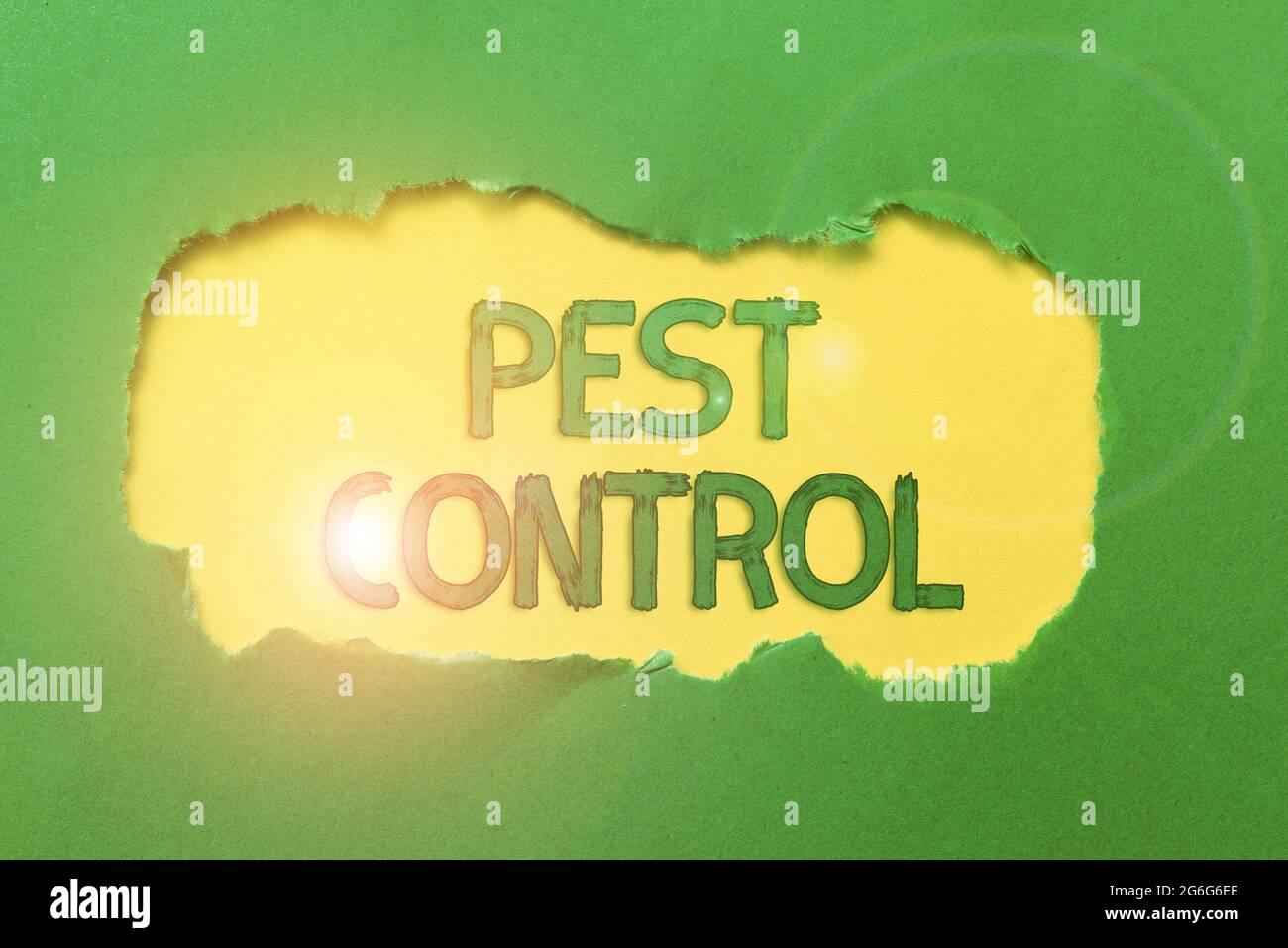 Text showing inspiration Pest Control. Word Written on Killing ...