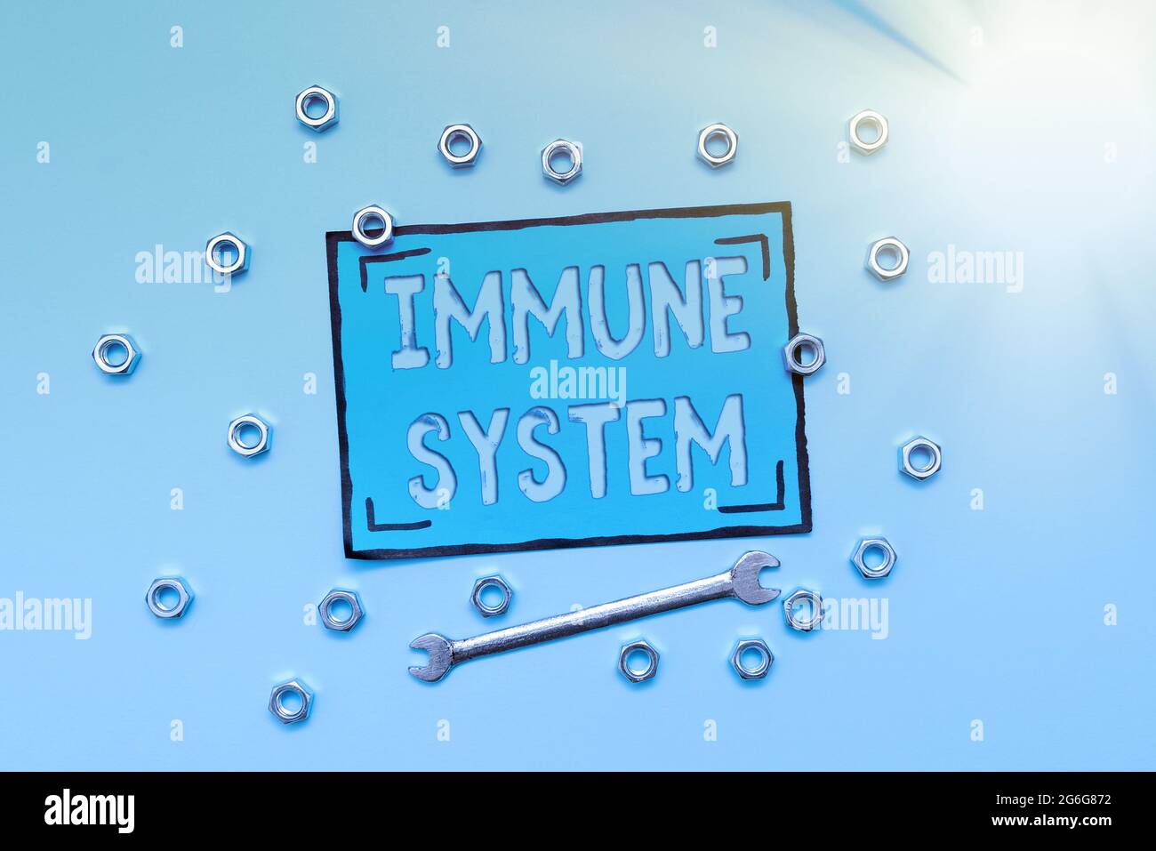 Writing displaying text Immune System. Business overview Complex ... Writing displaying text Immune System. Business overview Complex ...