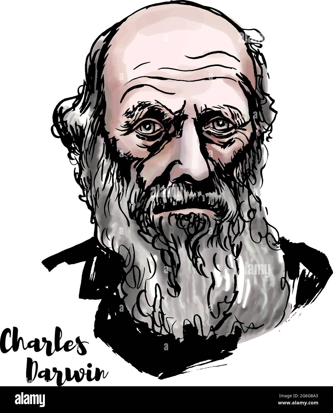 Charles Darwin watercolor vector portrait with ink contours. English ...