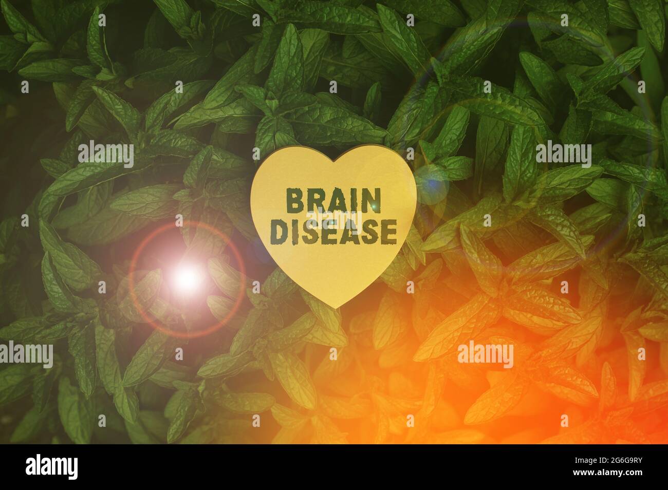 Writing displaying text Brain Disease. Concept meaning a neurological ...