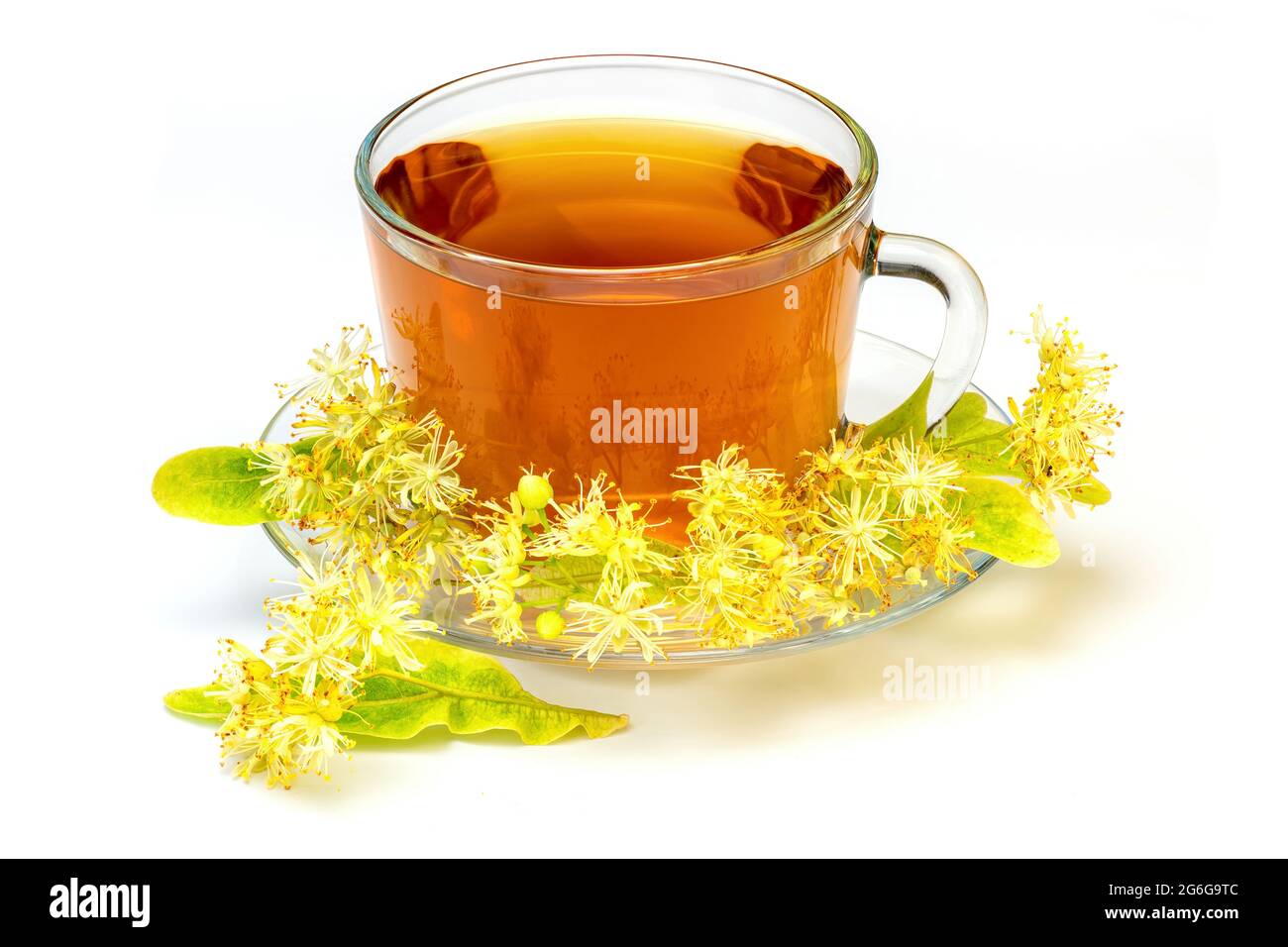 Tilo Tea In English Lowest Price | www.oceanproperty.co.th