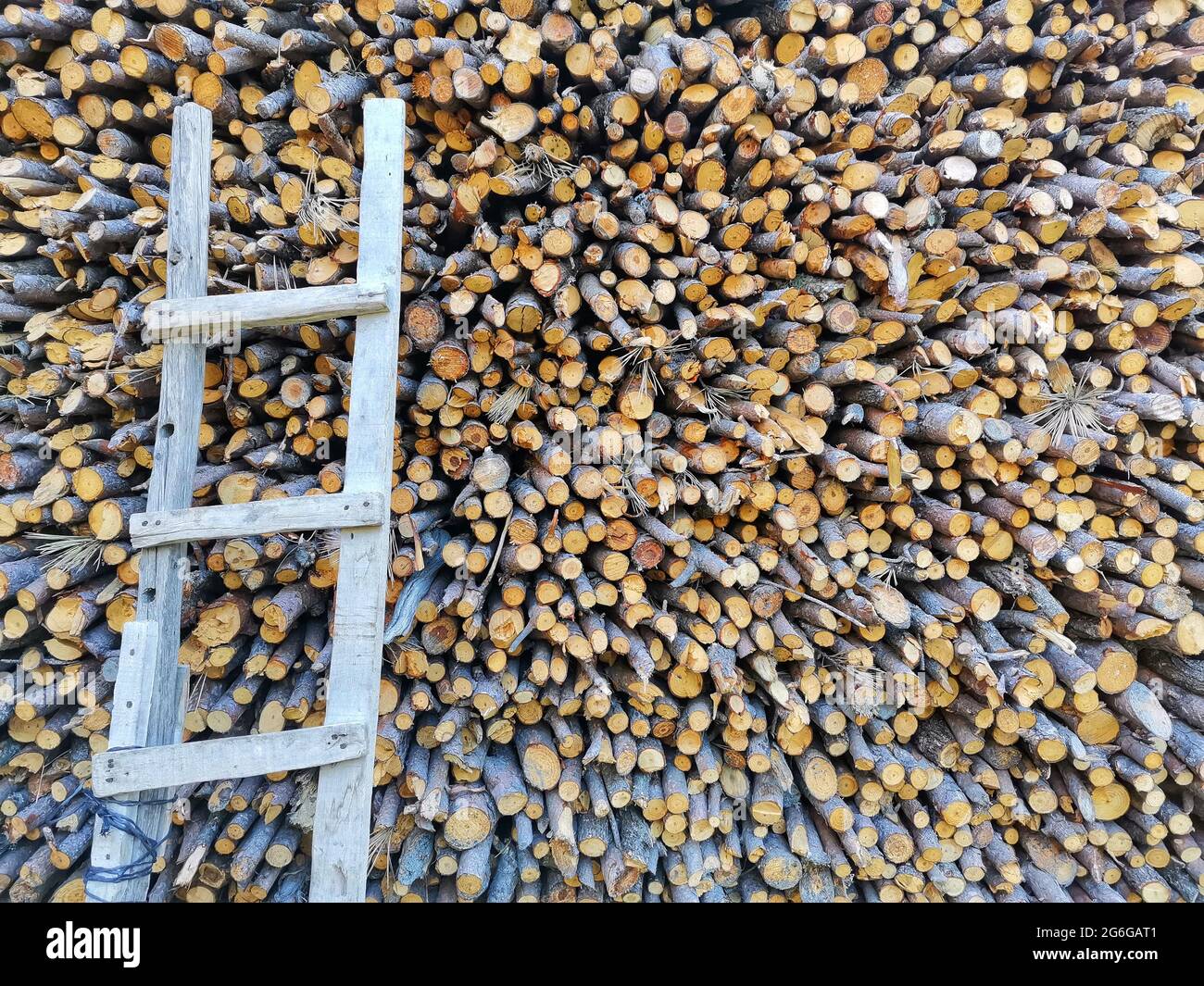 Woods in the woodshed. Rows of wood. firewood Stock Photo - Alamy