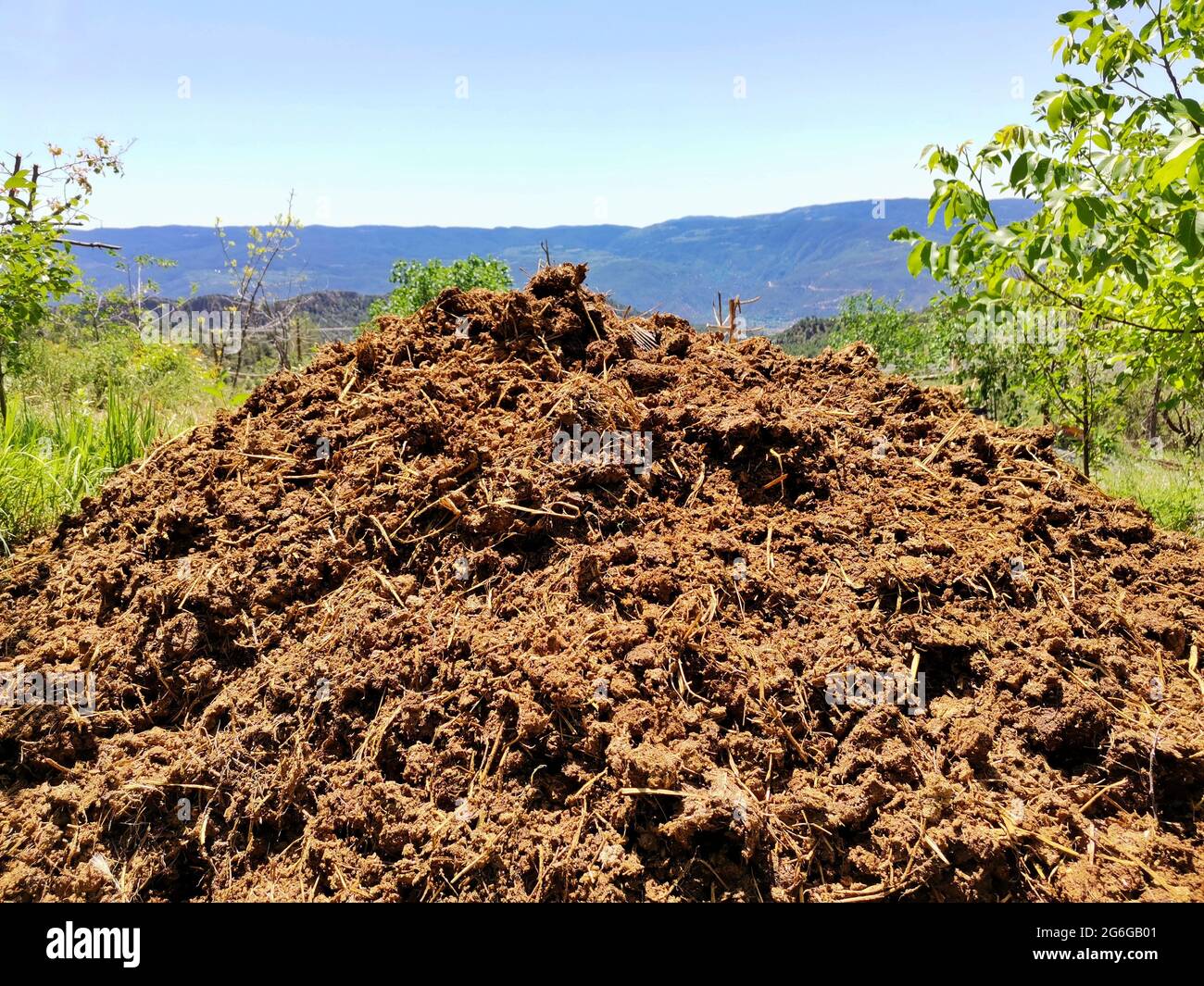 Natural fertilizer. Animal poop Stock Photo - Alamy