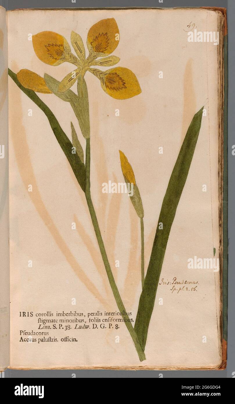 Lily gottfried hi-res stock photography and images - Alamy