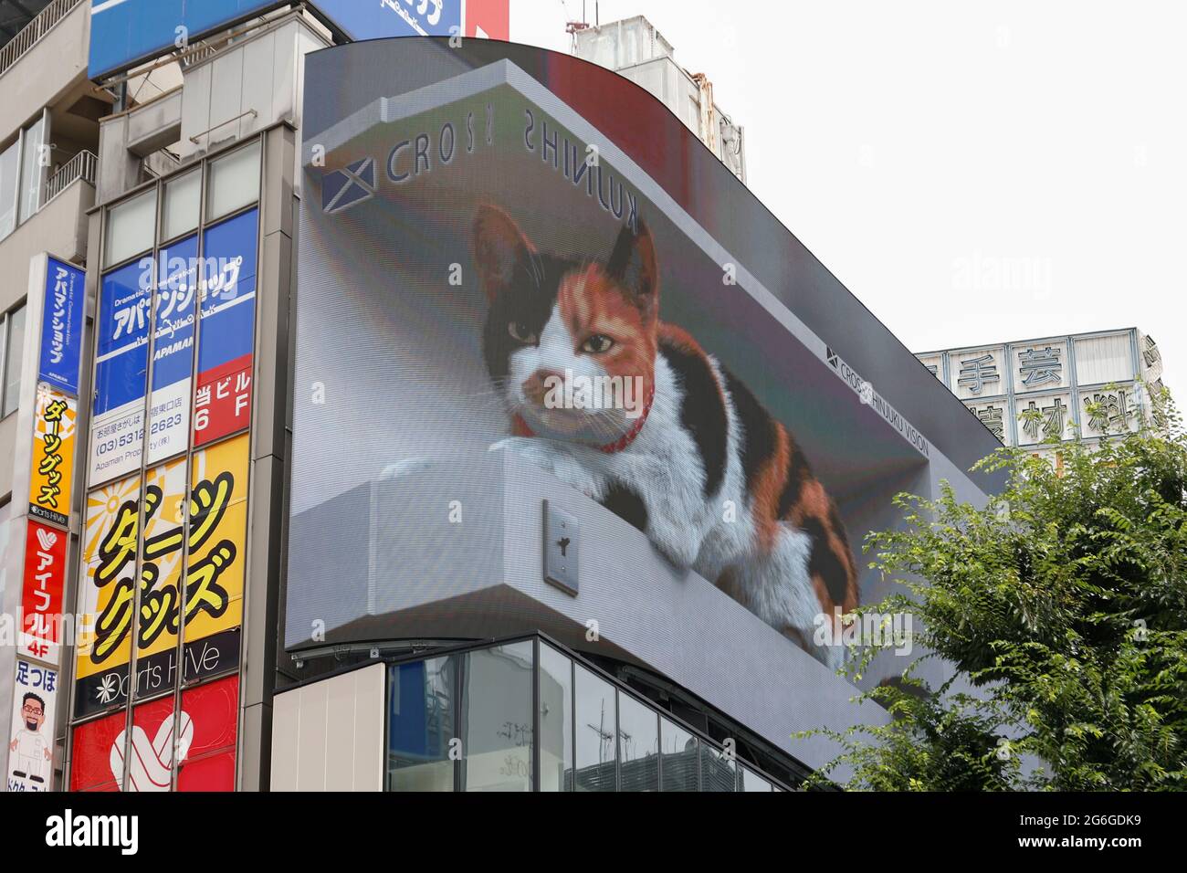 3d cat billboard hi-res stock photography and images - Alamy