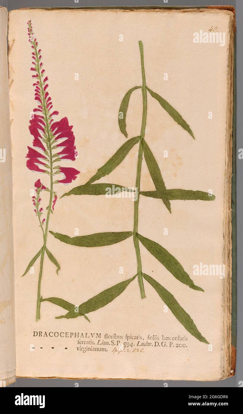 Lily gottfried hi-res stock photography and images - Alamy