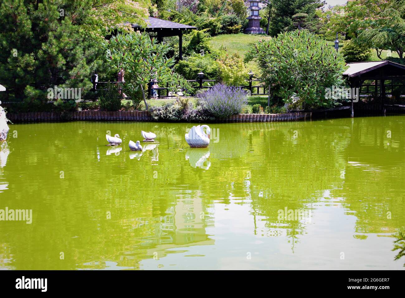 Japanese garden and reflections in the pool Stock Photo - Alamy