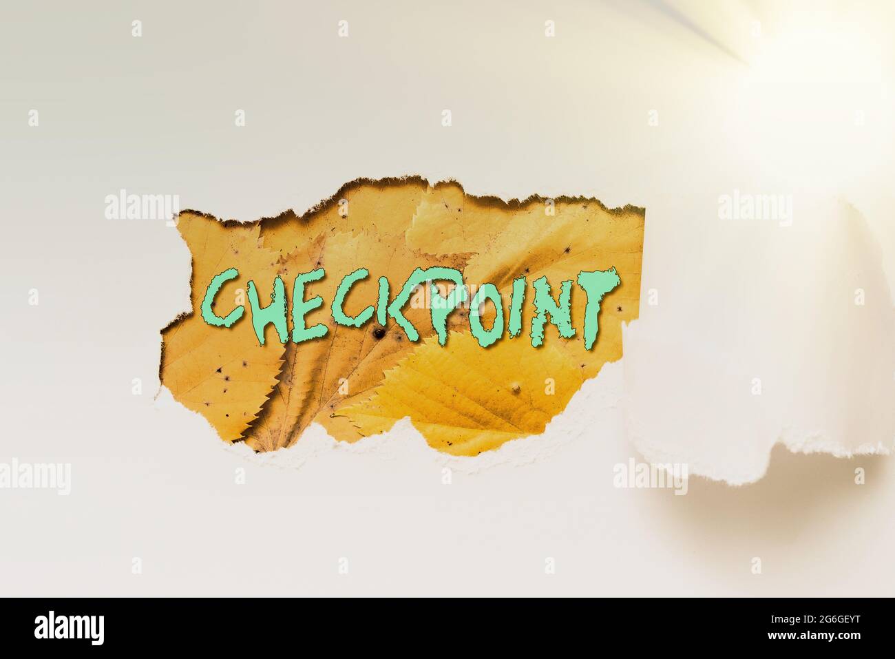 Conceptual display Checkpoint. Word for manned entrance, where ...