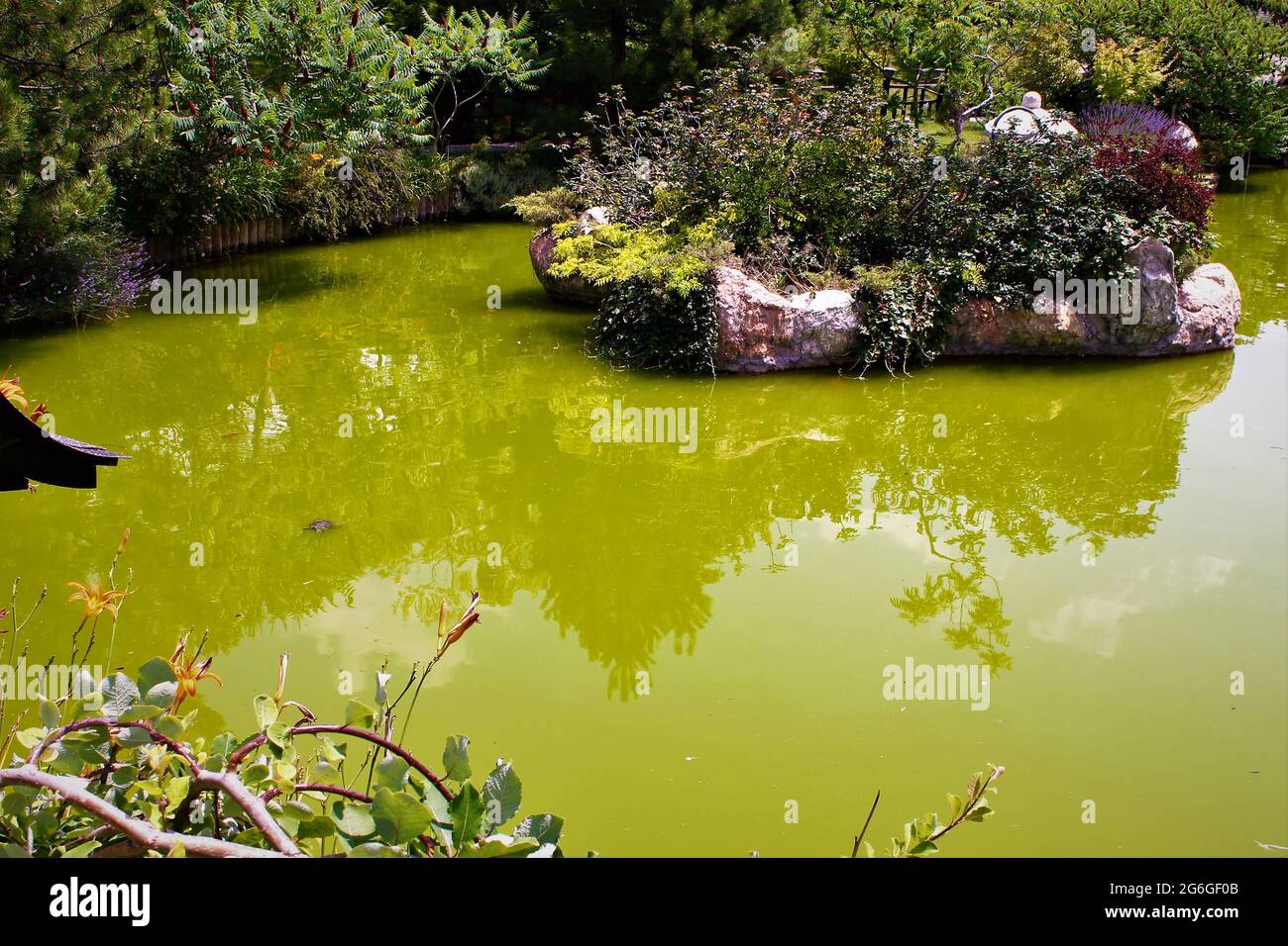 Japanese garden and reflections in the pool Stock Photo - Alamy