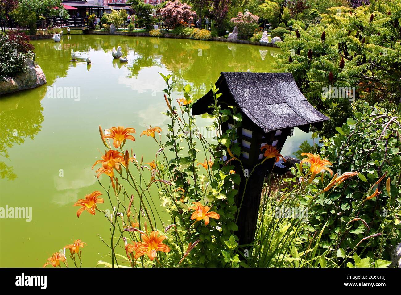 Japanese garden and reflections in the pool Stock Photo - Alamy