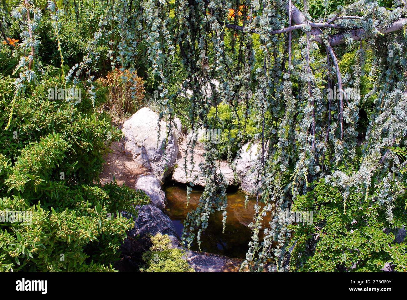 japanese garden, japanese trees, japanese style, pool, bridge Stock ...