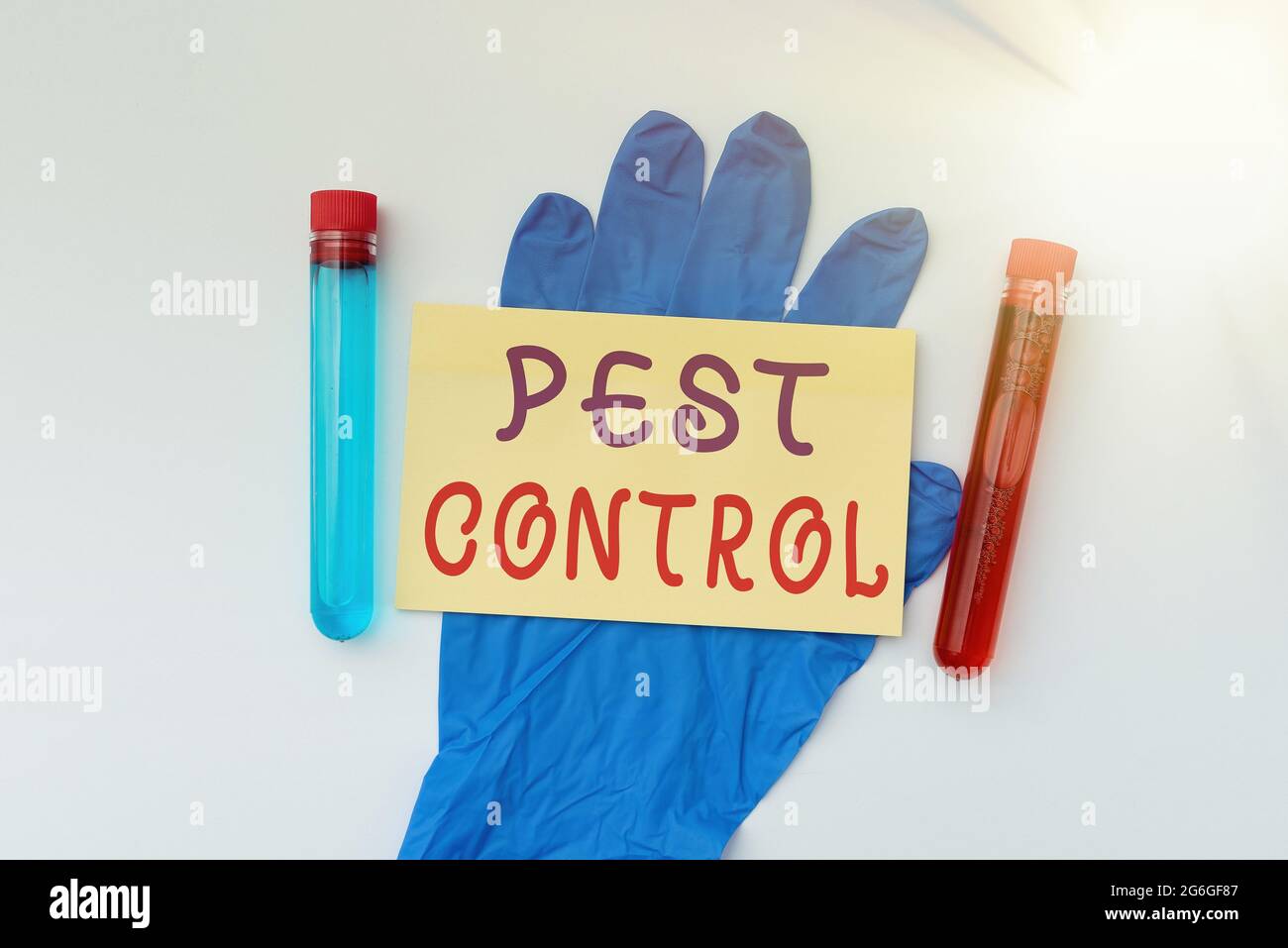 Text showing inspiration Pest Control. Word for Killing destructive ...