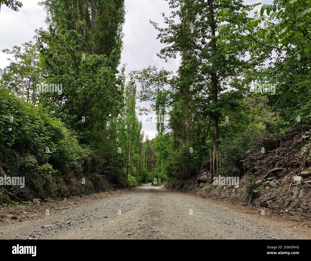 Way. Country road. Parkway. View. Background Stock Photo - Alamy