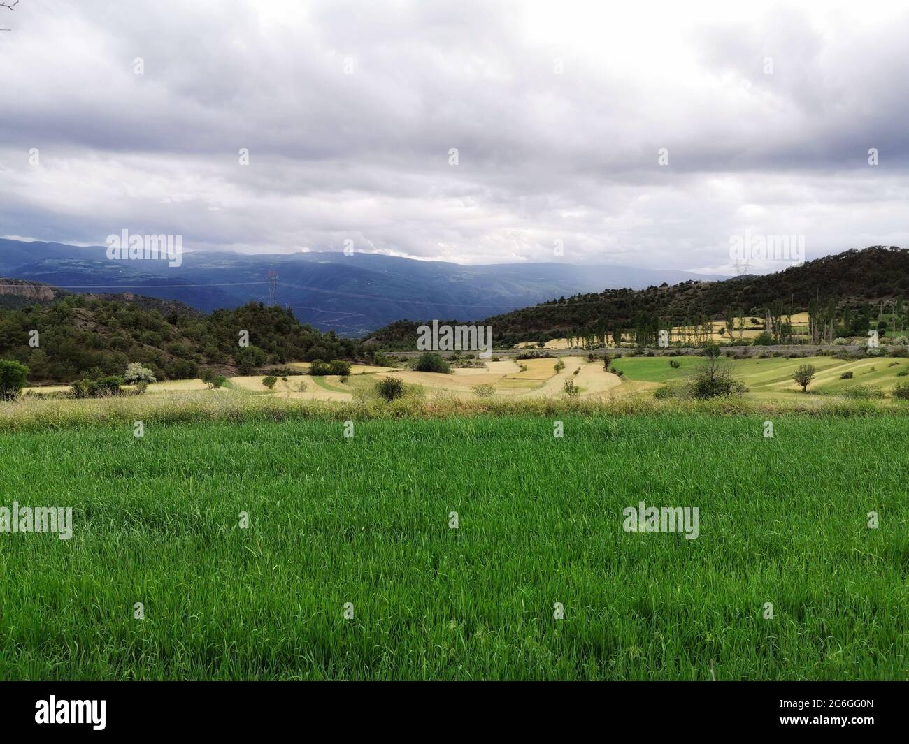 Green field and nature landscape Stock Photo - Alamy